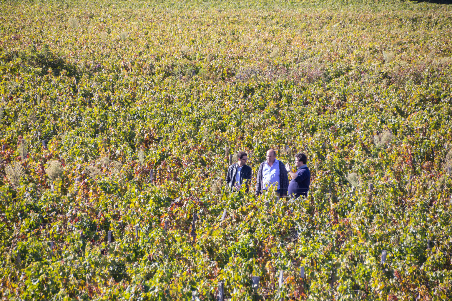 Visits & Meetings - Chateau Luchey Halde