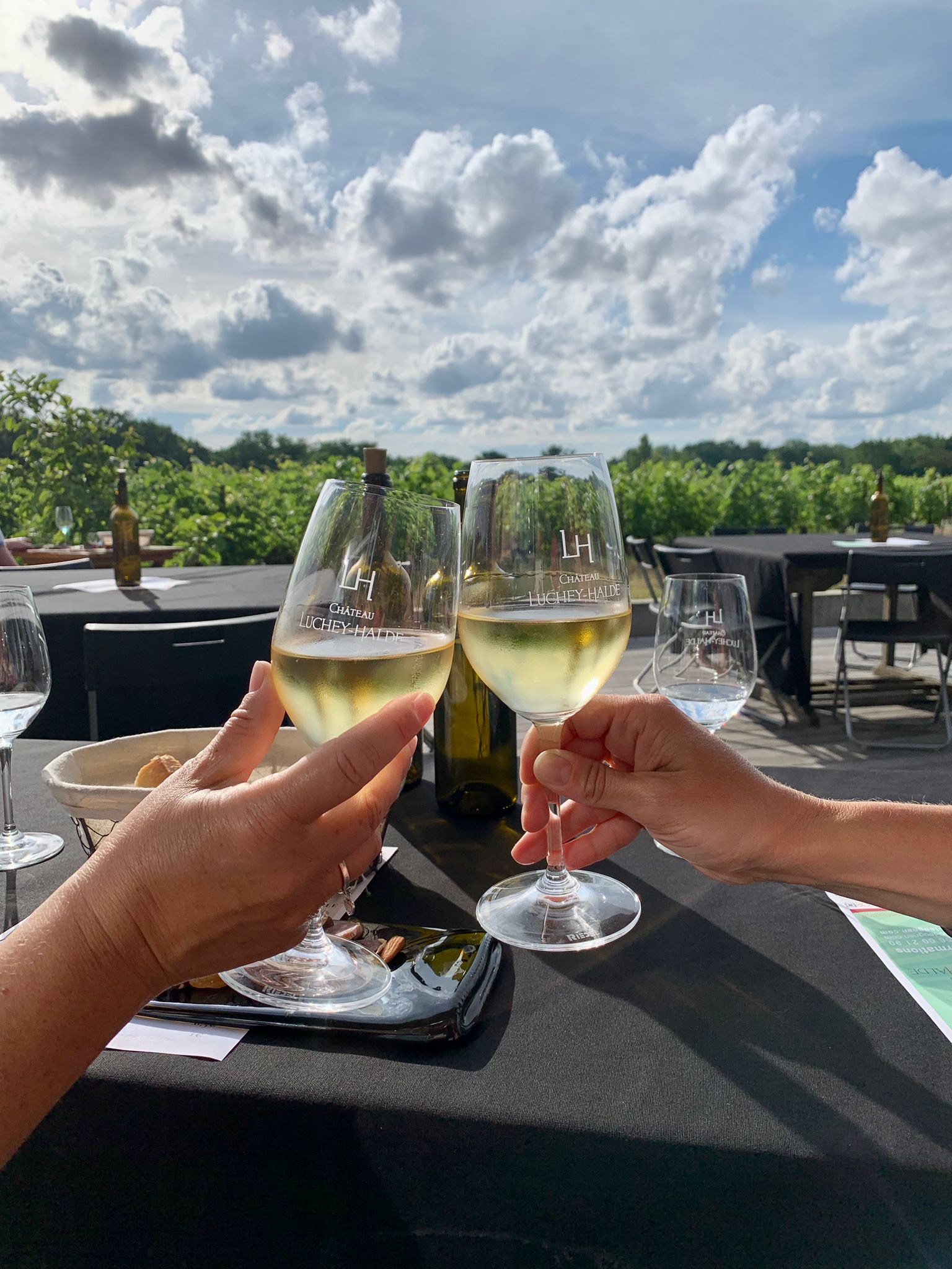 Our News - Chateau Luchey Halde