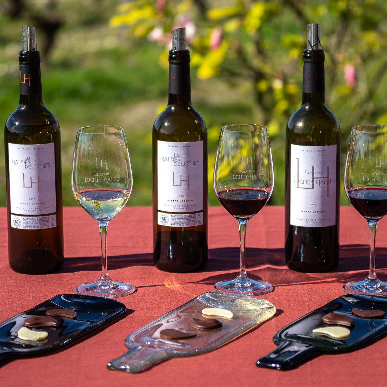 Visites et dégustations - Chateau Luchey Halde