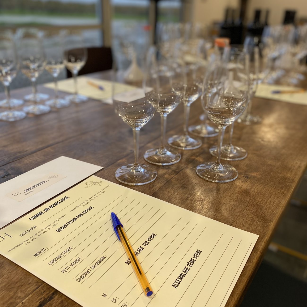 Visites et dégustations - Chateau Luchey Halde